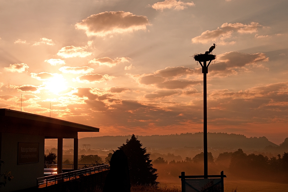 Gemeinde Zaberfeld - Natur pur!