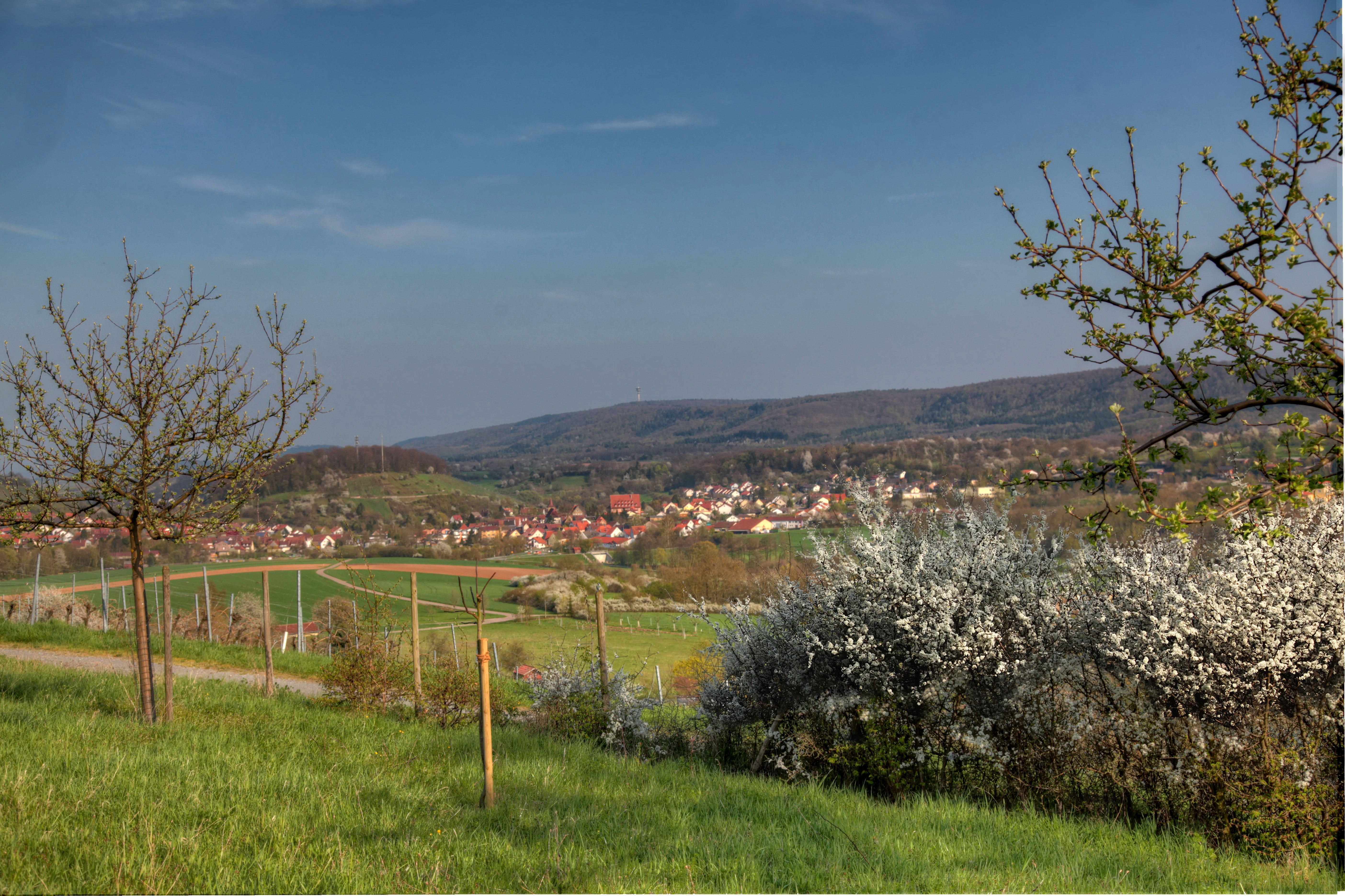Gemeinde Zaberfeld - Natur pur!